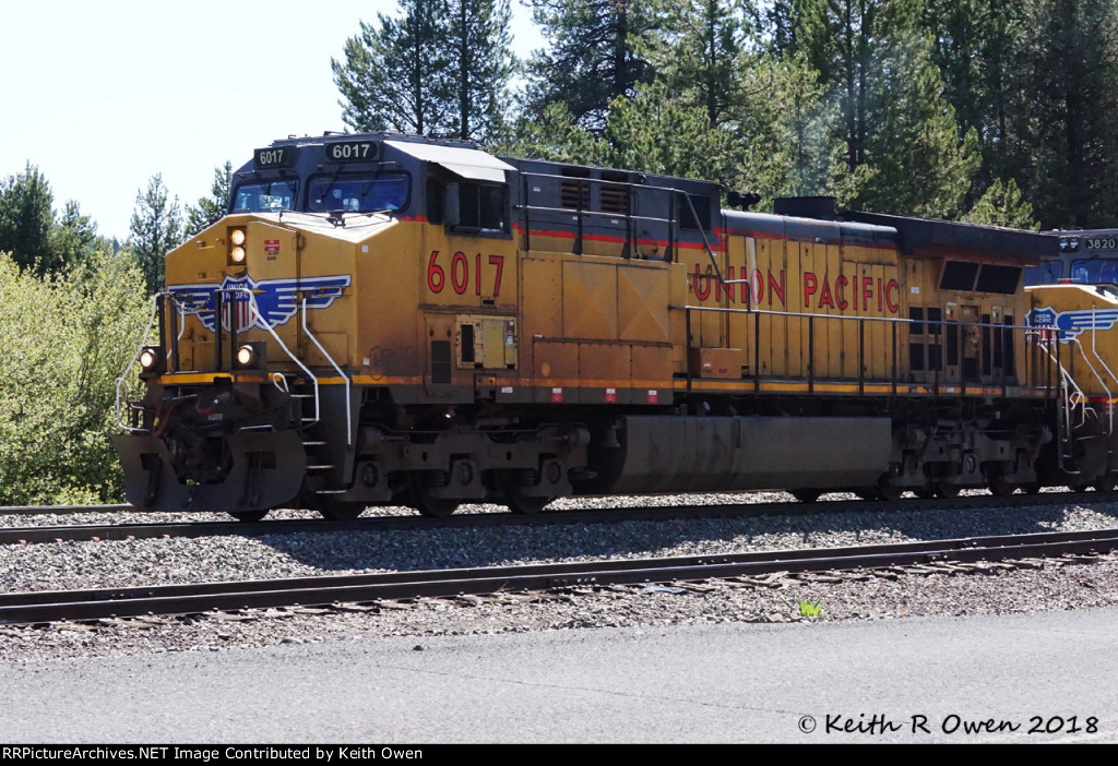 Westbound Bare Table